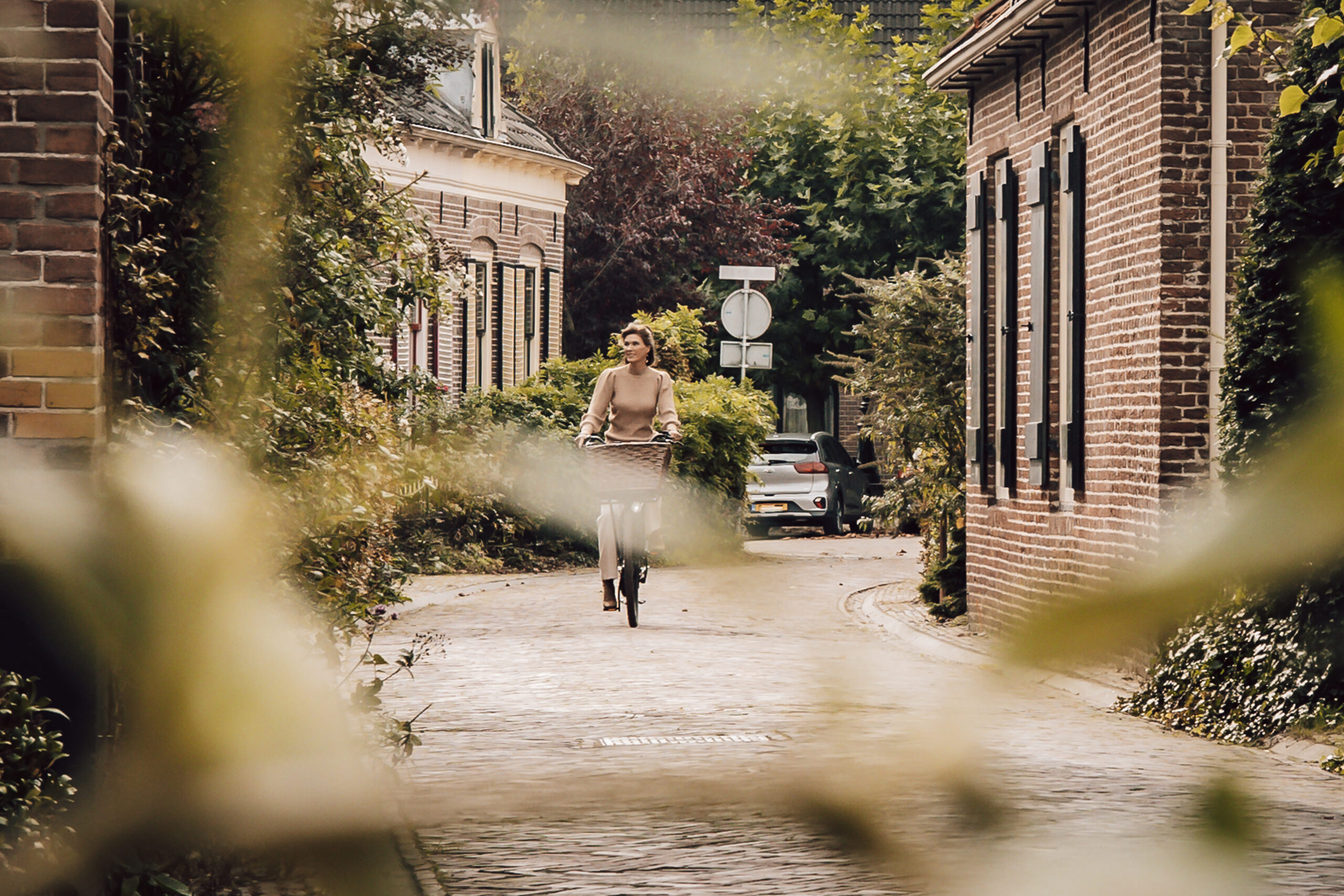 Vitaliteitspijler - FYSIEK - Romyn