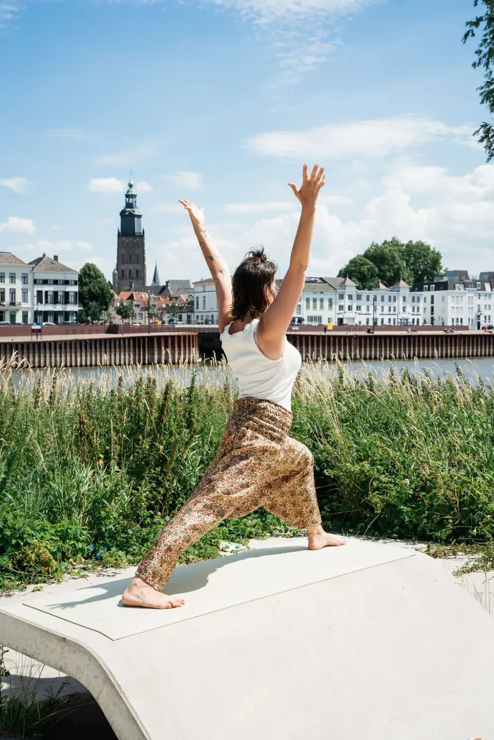 Vitaliteitspijler - BEWUSTWORDING - Romyn