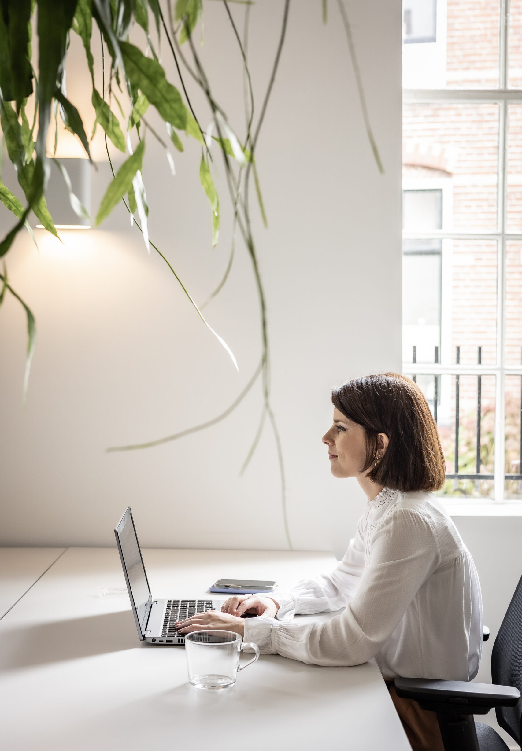 Management Assistent Dicoon - Romyn